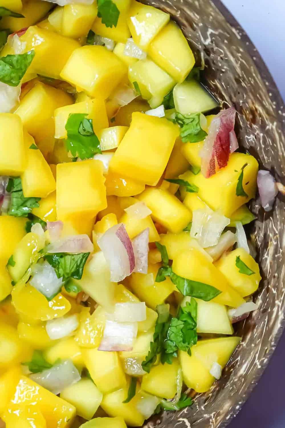 Mango Pico De Gallo - Made With 5 Fresh Ingredients!