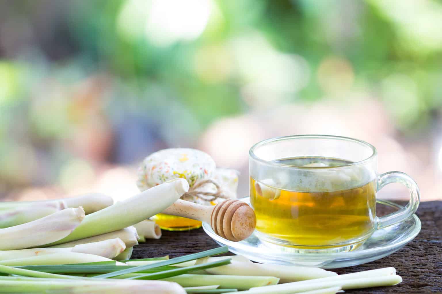 Green Tea With Honey {Iced 10 Minute Tea} – Tasty Oven