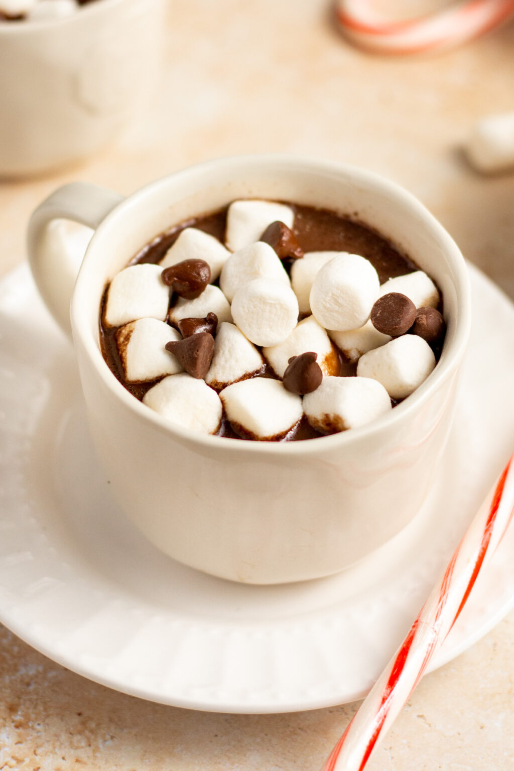 Instant Pot Hot Cocoa with 4 Flavor Variations