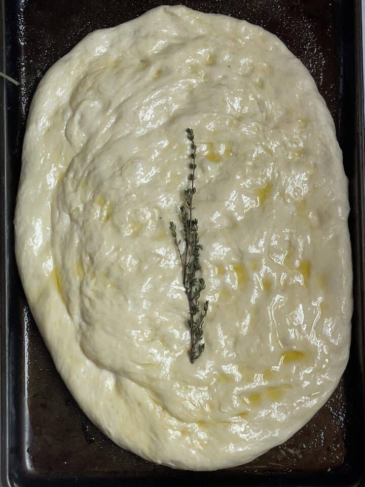 Christmas Focaccia – Tasty Oven