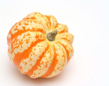 How To Cook Sweet Dumpling Squash – Tasty Oven