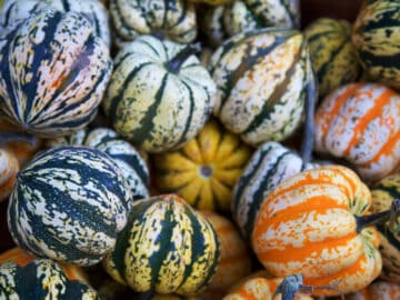 How To Cook Sweet Dumpling Squash – Tasty Oven