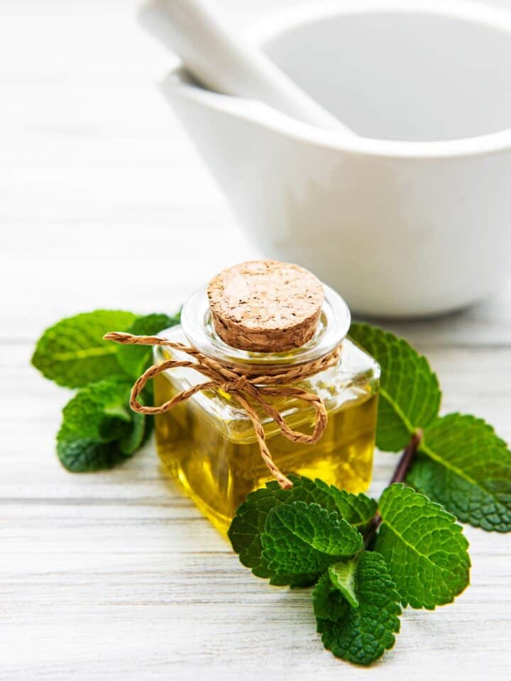 Instant Pot Mint Extract – Tasty Oven